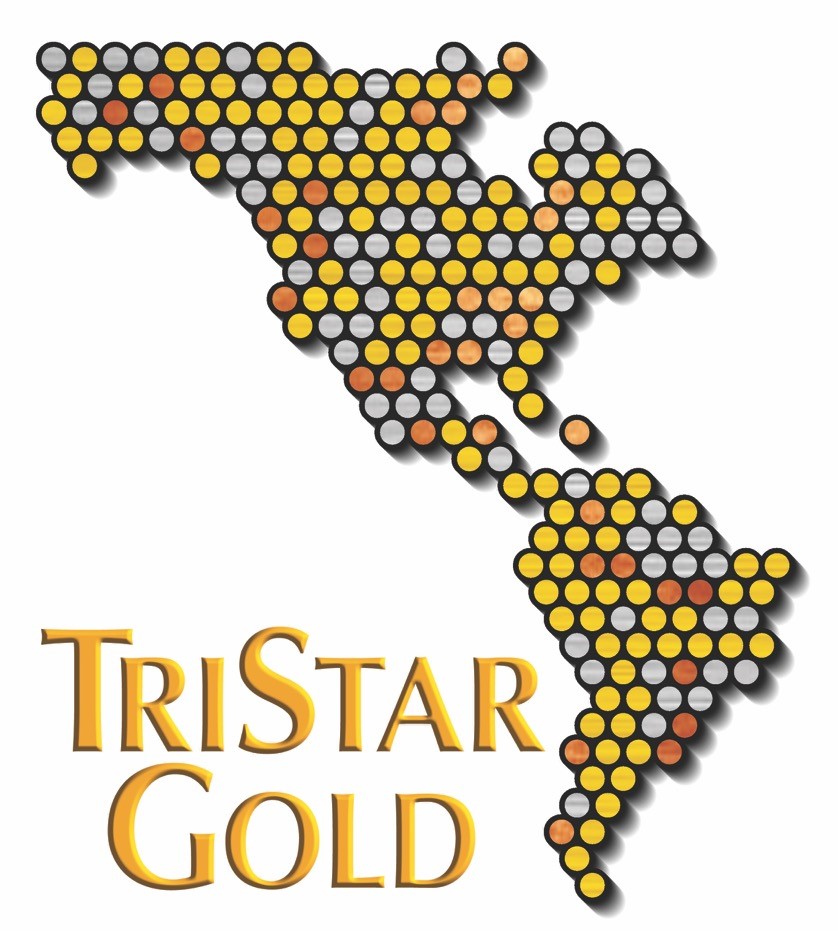 TriStar Gold (TSX. V: TSG) Developing 4 million oz. gold project in Brazil